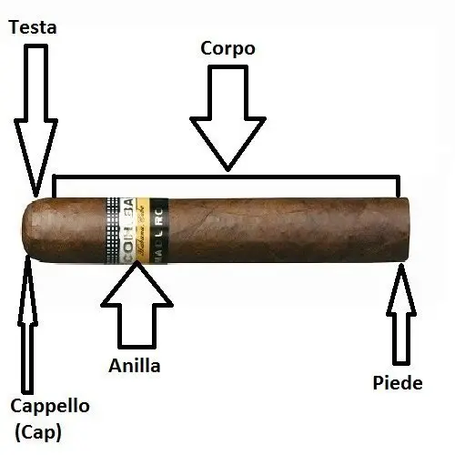 Come fumare il sigaro, ecco finalmente spiegato come devi fare ...